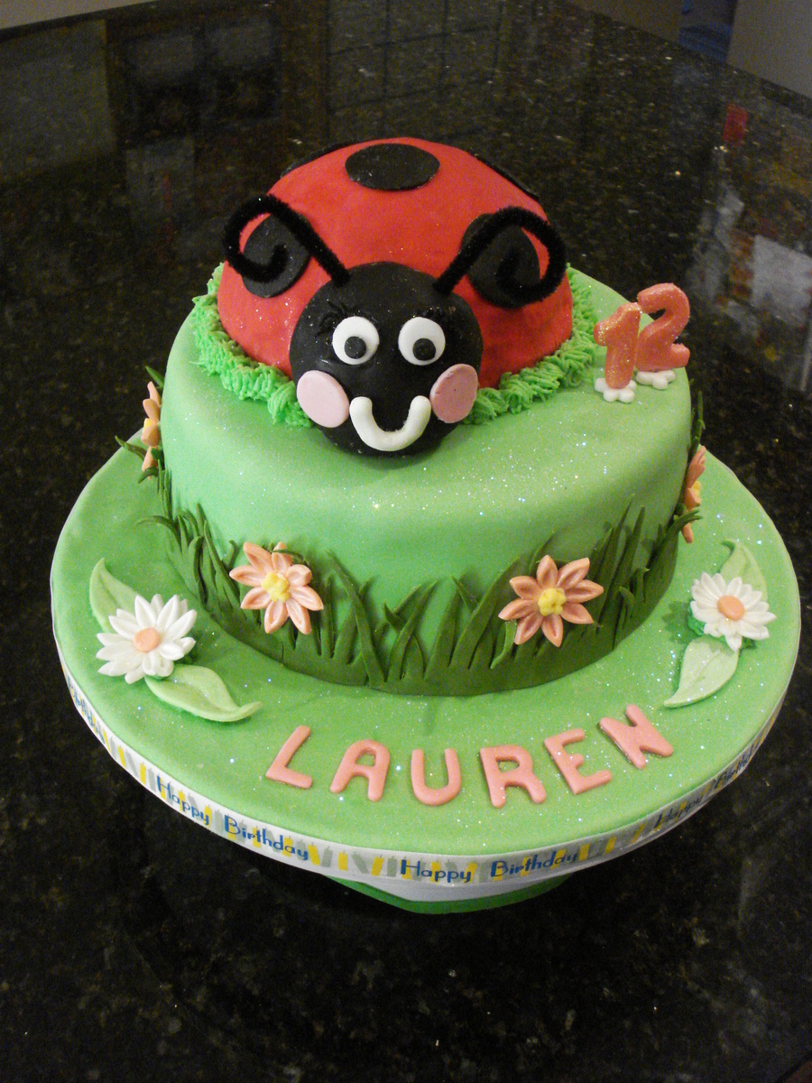 Ladybird Cake - CakeCentral.com
