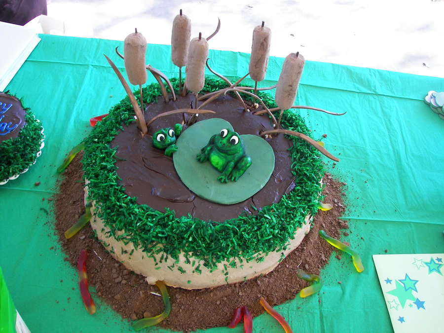 Frog Themed Birthday Cake - CakeCentral.com