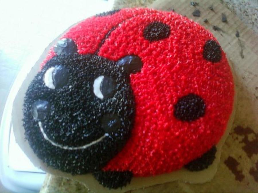 Ladybug Birthday Cake - CakeCentral.com
