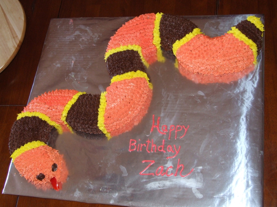 Snake Cake - CakeCentral.com