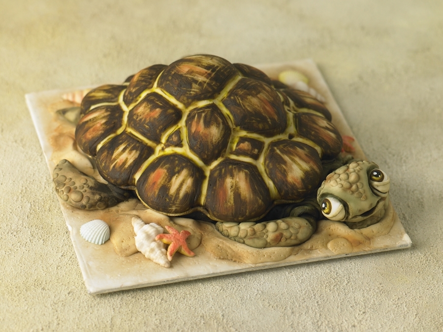 Turtle Cake! - CakeCentral.com