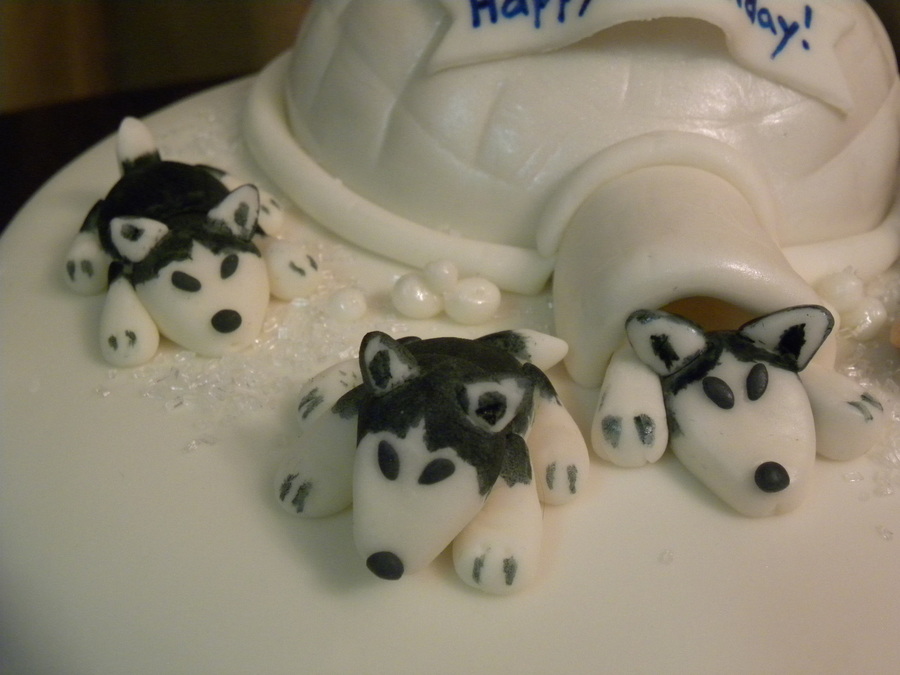 Husky Dog Sledding Cake - CakeCentral.com