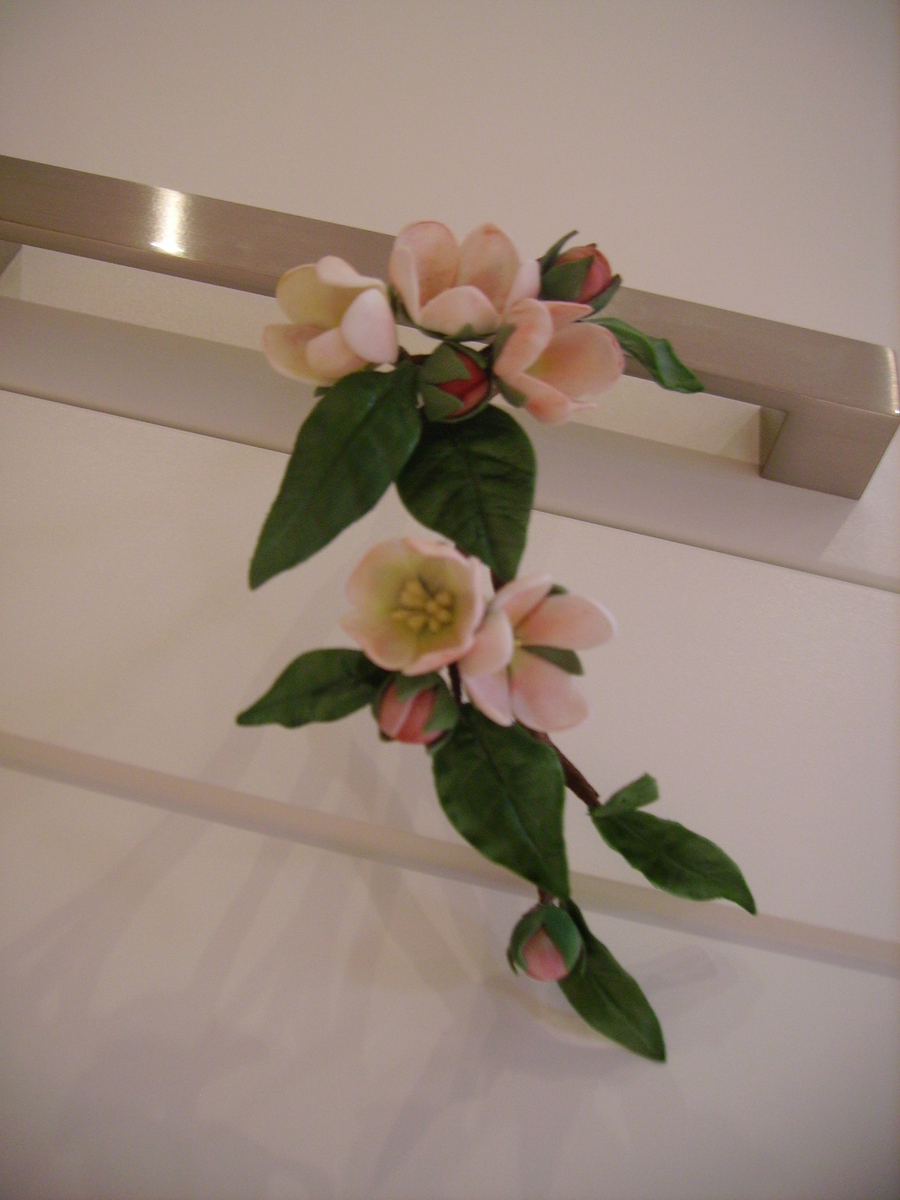 Apple Blossom - CakeCentral.com