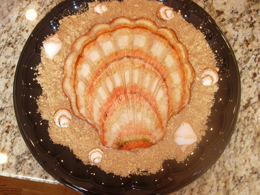 Seashell Cake - CakeCentral.com