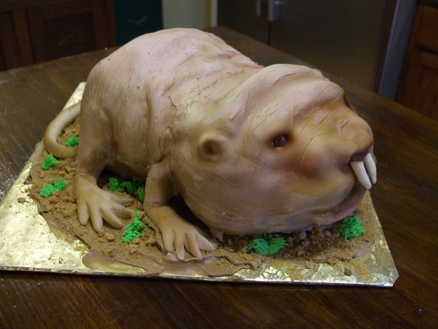 Naked Mole Rat - CakeCentral.com
