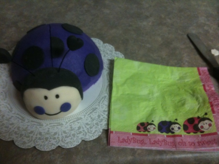 Ladybug Smash Cake - CakeCentral.com