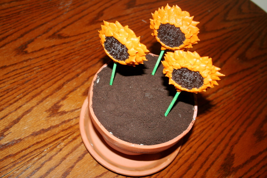 Flower Pot Cake - CakeCentral.com