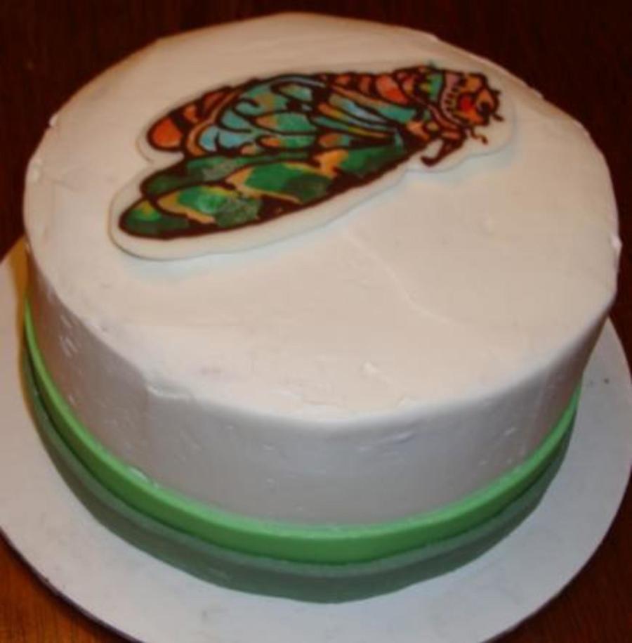 Cicada Chocolate Drawing Cake - CakeCentral.com