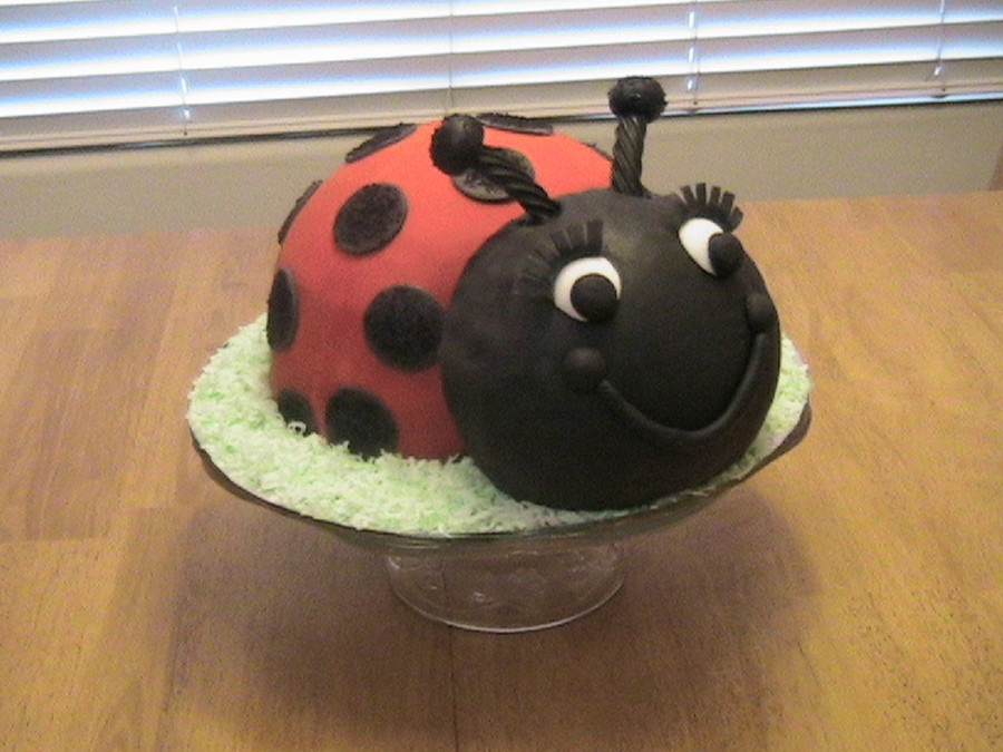 Ladybug Cake - CakeCentral.com