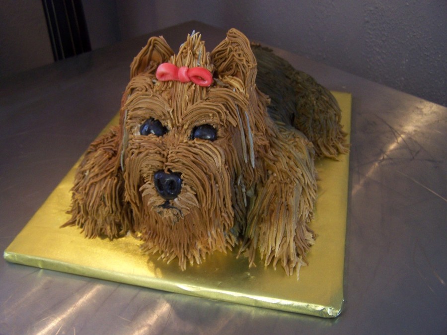 Yorkie Cake - CakeCentral.com