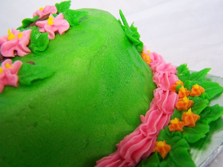 Cat Cake - CakeCentral.com