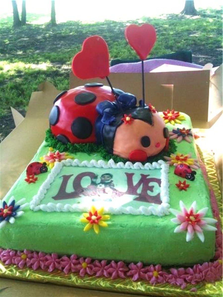 Ladybug Cake - CakeCentral.com