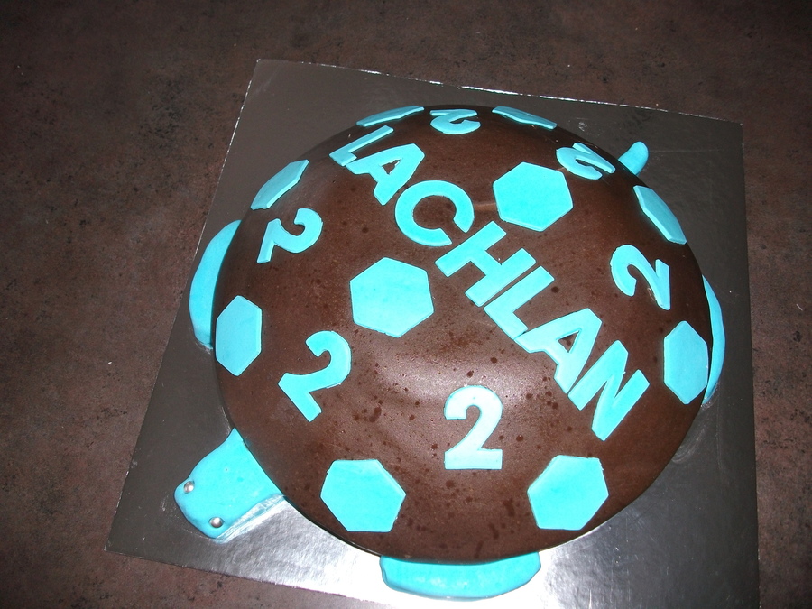 Turtle Cake - CakeCentral.com