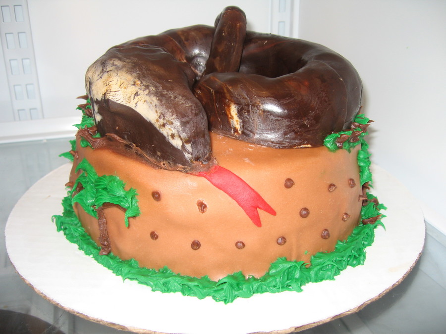 Snake Cake - CakeCentral.com