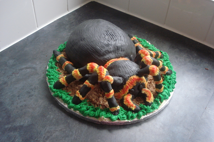 Big Spider!!! - CakeCentral.com