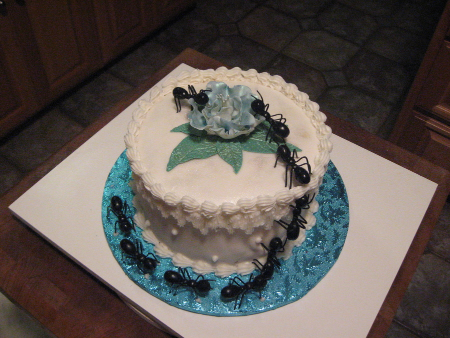 Ant Cake - CakeCentral.com