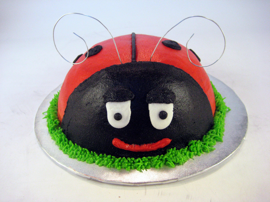 Ladybug Smash Cake - CakeCentral.com