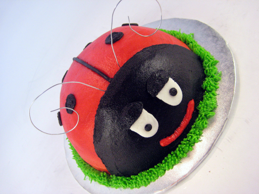 Ladybug Smash Cake - CakeCentral.com