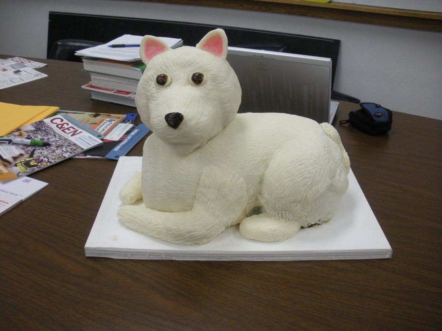 Shiba Inu Cake - CakeCentral.com
