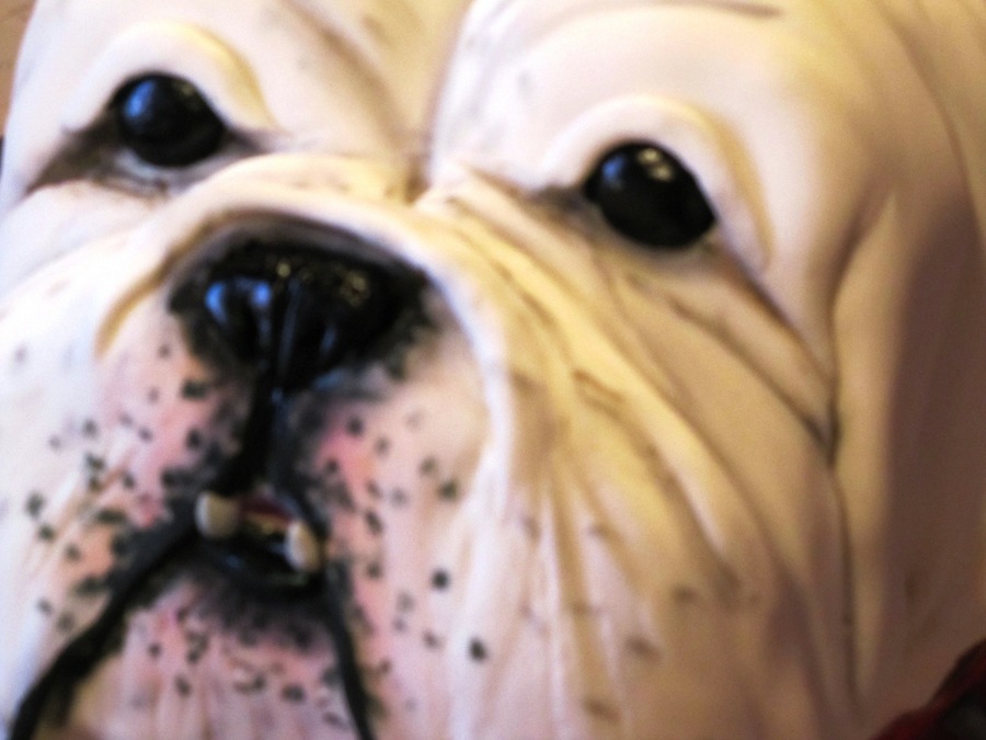 Georgia Bulldog Groom's Cake - CakeCentral.com