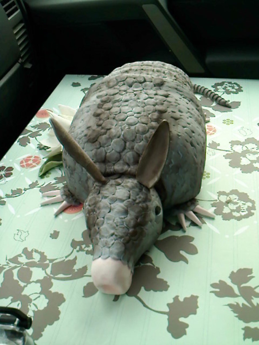 Willie - CakeCentral.com