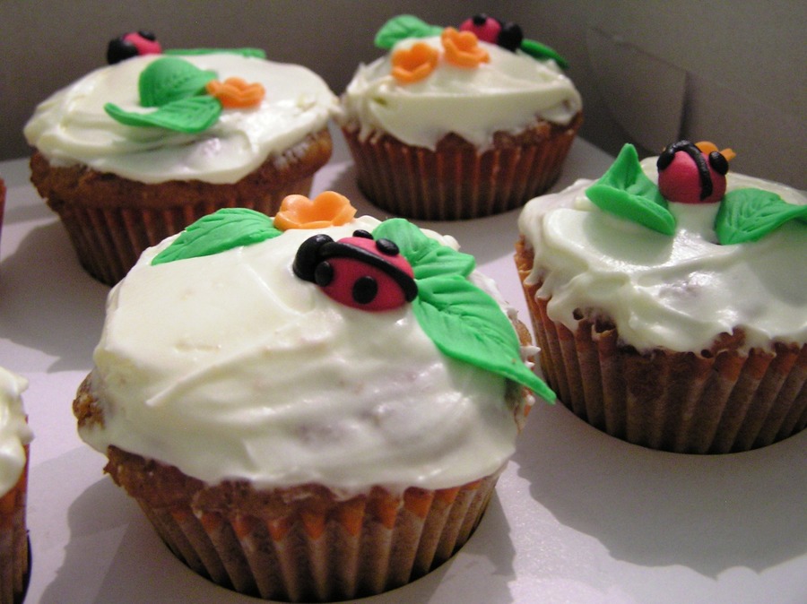 Lady Bug - CakeCentral.com