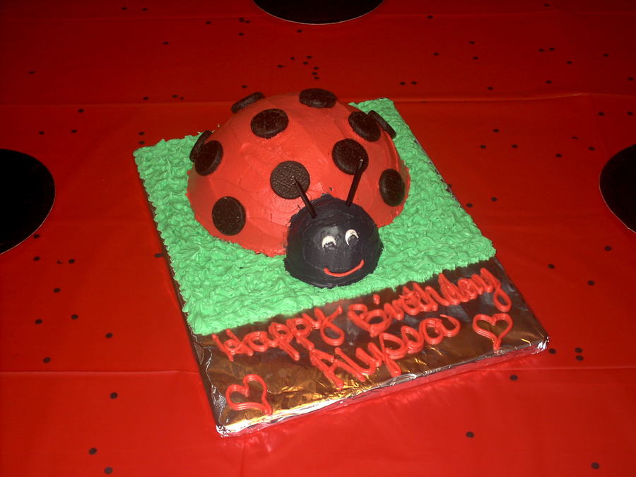 Ladybug Cake - CakeCentral.com
