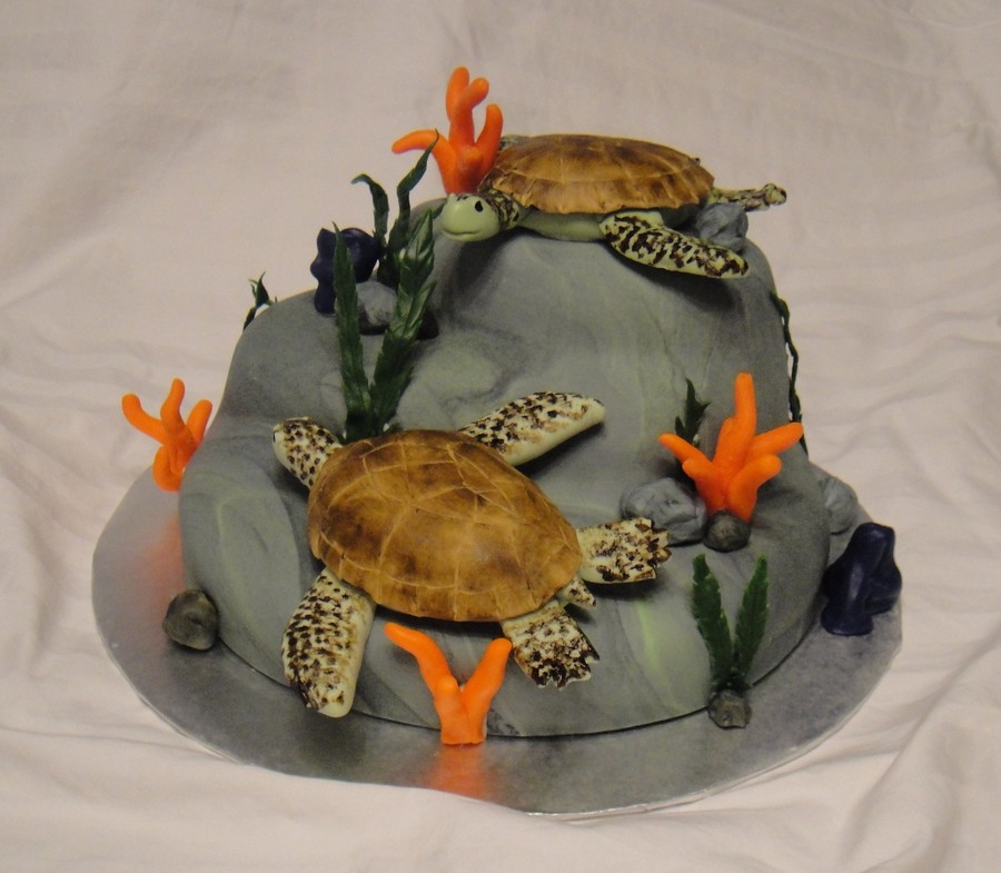 Sea Turtle Cake - CakeCentral.com