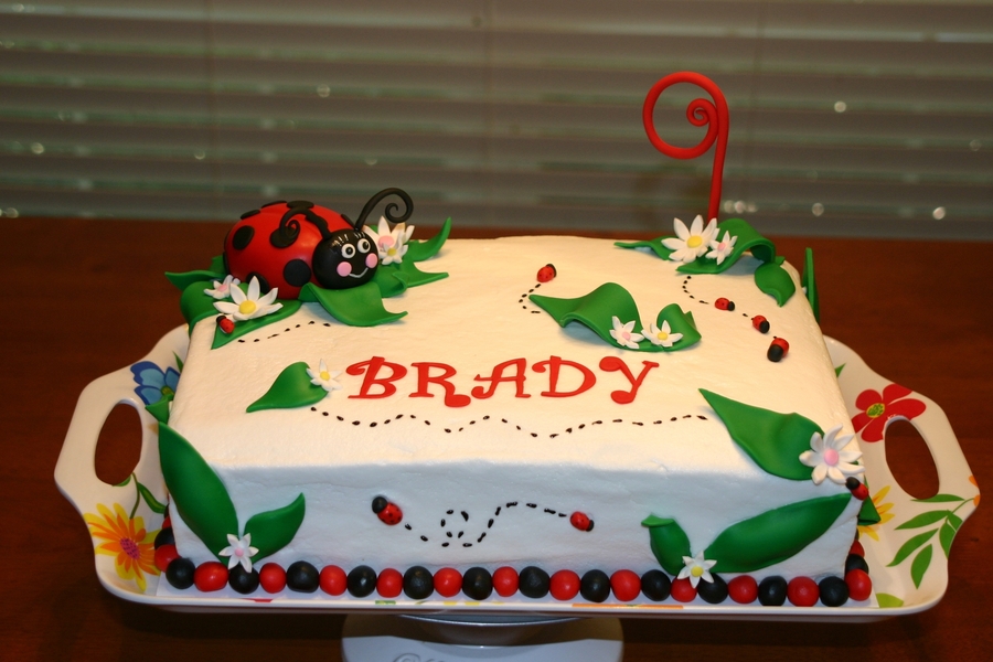 Lady Bugs Sheet Cake - CakeCentral.com