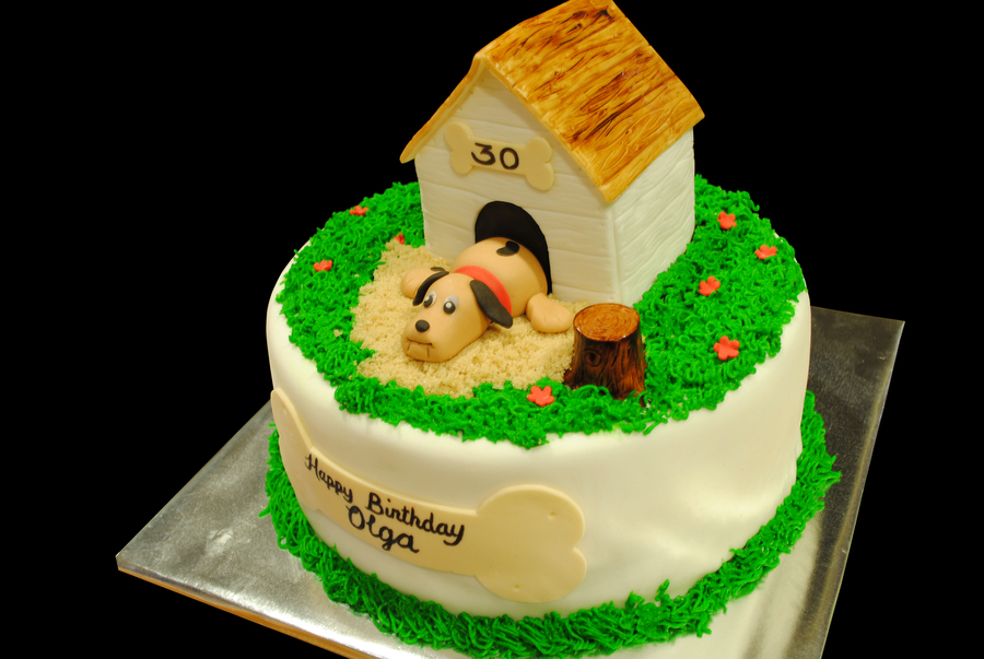 Pound Puppy Dog House - CakeCentral.com
