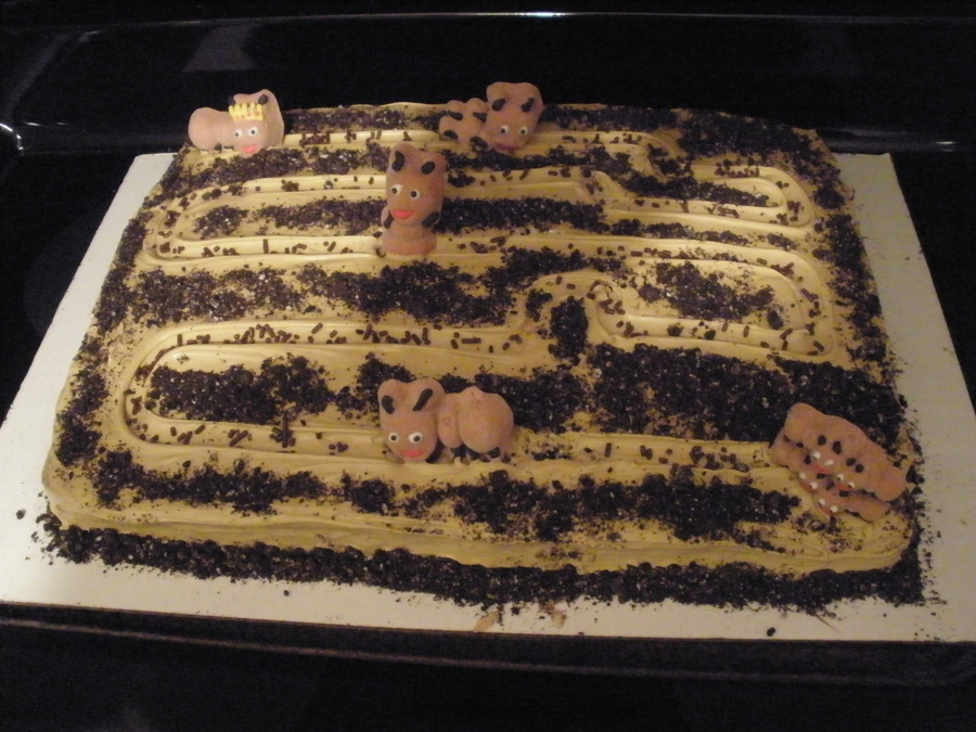 Ant Farm Birthday Cake - CakeCentral.com