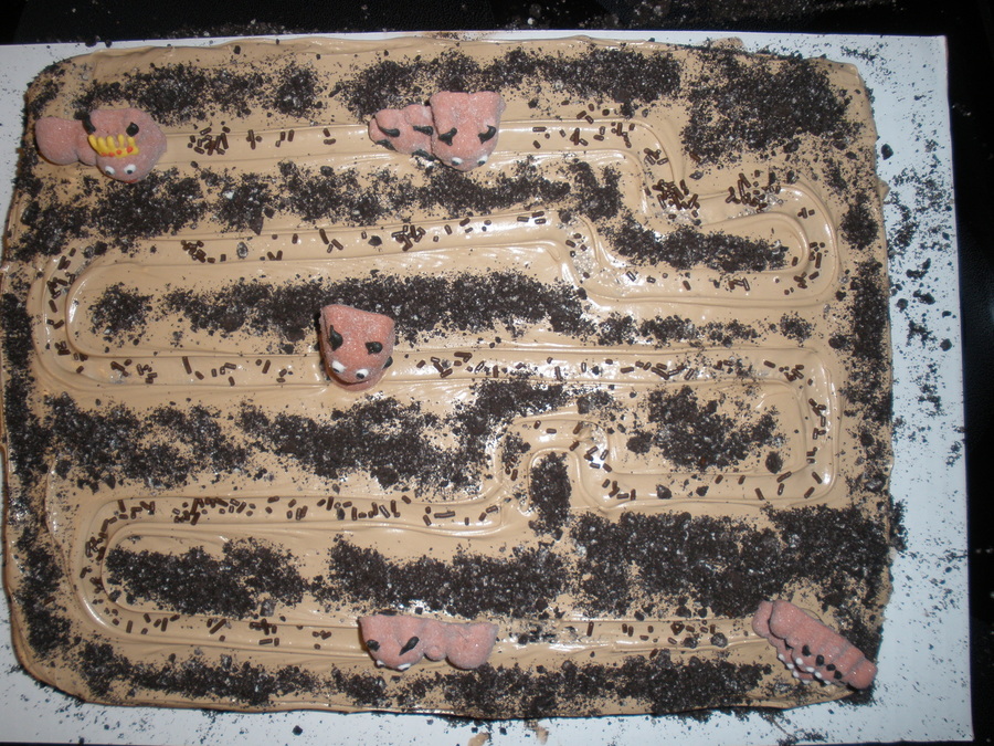 Ant Farm Birthday Cake - CakeCentral.com
