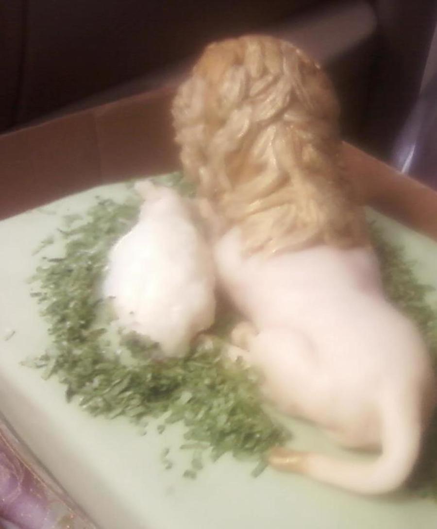 Lion And The Lamb - CakeCentral.com