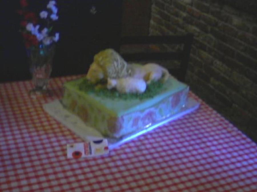 Lion And The Lamb - CakeCentral.com