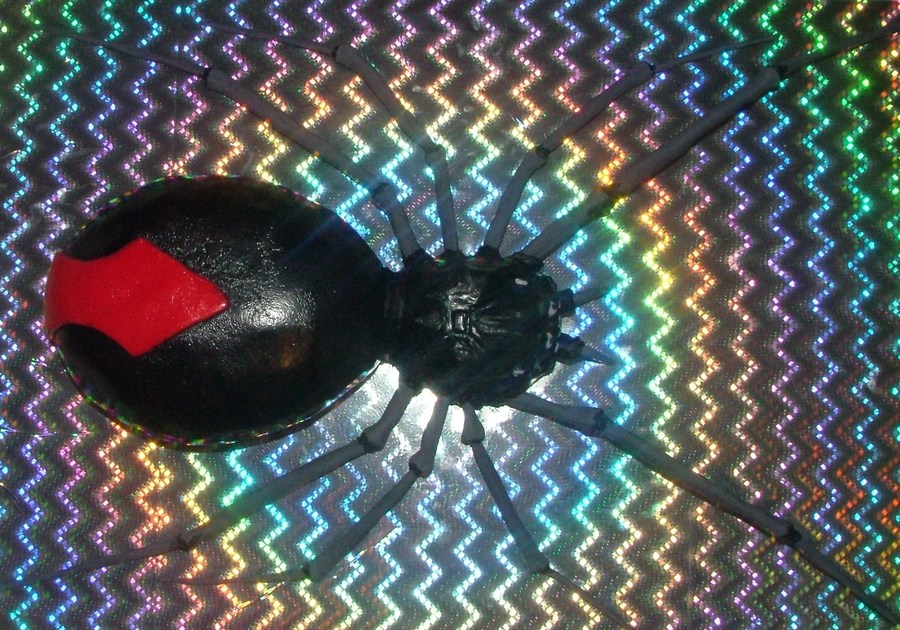Redback Spider - CakeCentral.com