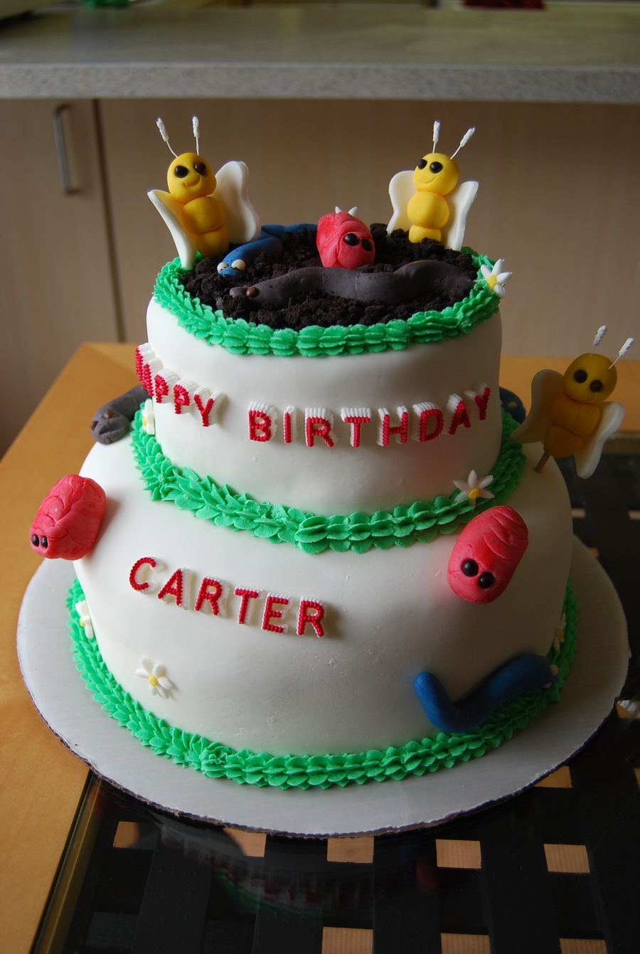 Bug Themed Cake - CakeCentral.com
