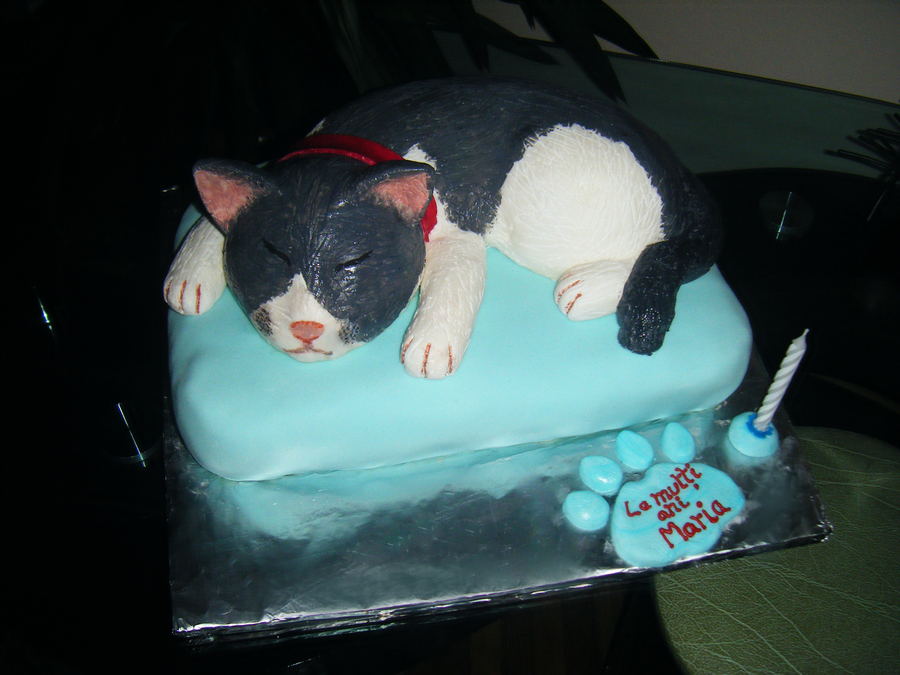 Cat Cake - CakeCentral.com
