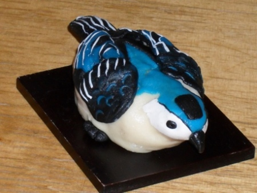 Blue Bird Cake - CakeCentral.com