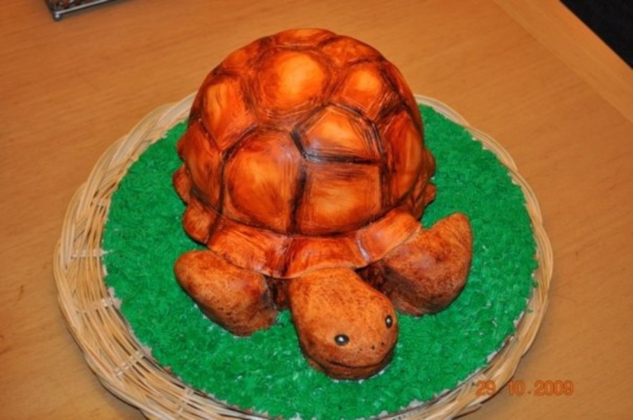 Turtle Cake - CakeCentral.com
