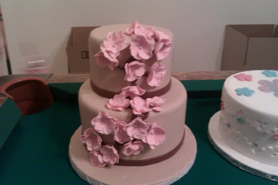 Cake Class - CakeCentral.com