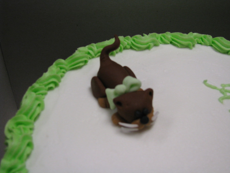 Cat Lover Birthday Cake - CakeCentral.com