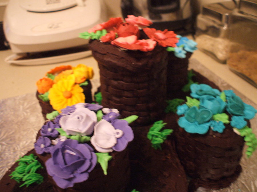 Final Cake For Class #2 - CakeCentral.com