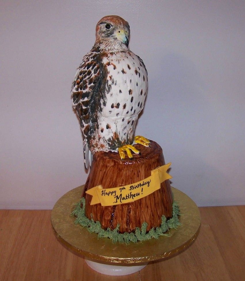 Peregrine Falcon - CakeCentral.com