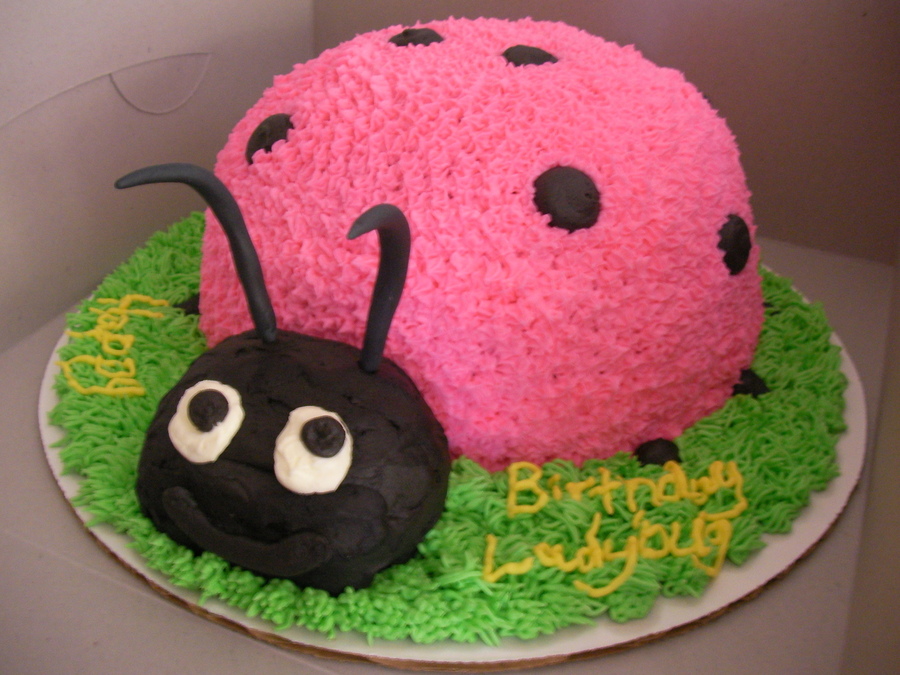 Pink Ladybug - CakeCentral.com