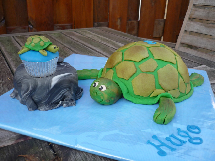 Turtle Mom With Turtle Baby - CakeCentral.com