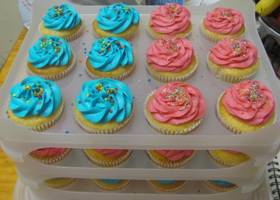 Family Reunion Cupcakes - CakeCentral.com