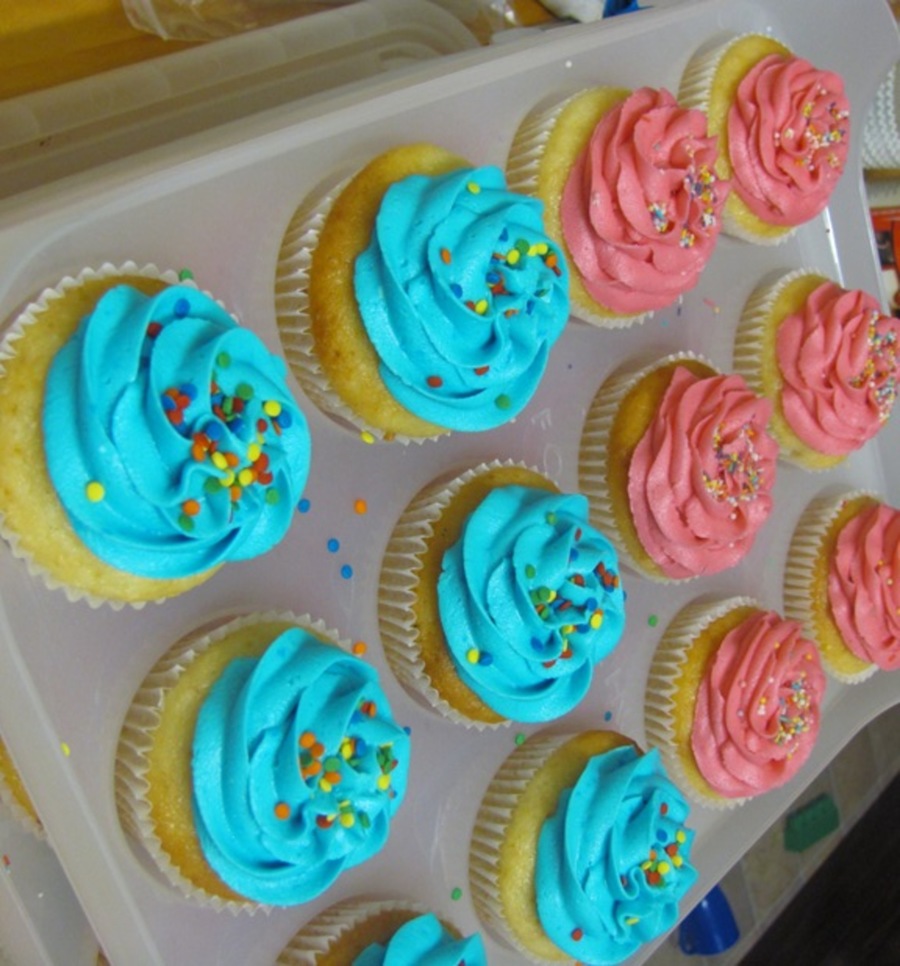 Family Reunion Cupcakes - CakeCentral.com
