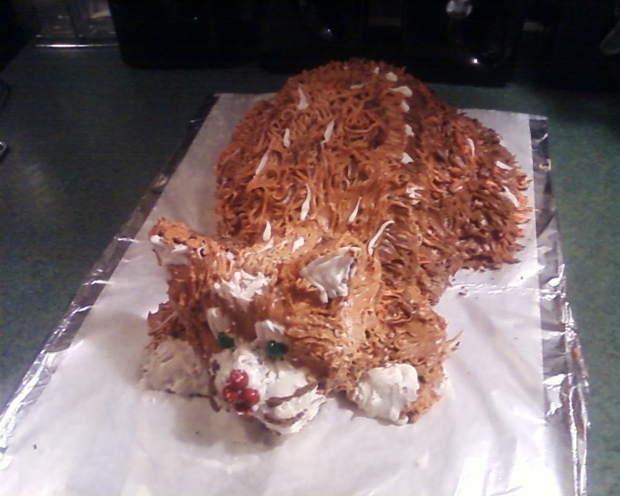 Cat Cake - CakeCentral.com