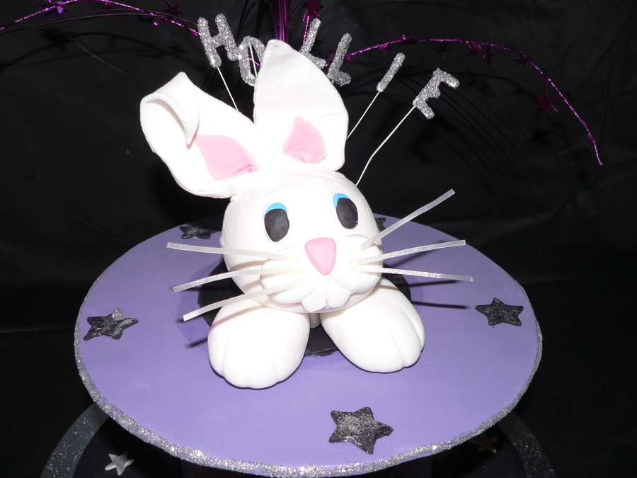 Rabbit In Magicians Hat - CakeCentral.com