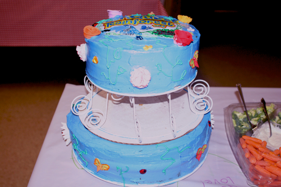 Sonquest Rainforest Vbs Cake - CakeCentral.com